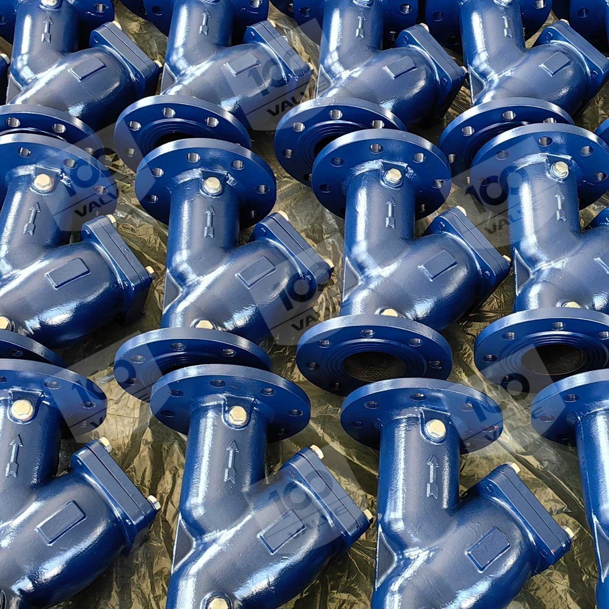 Cast Iron Y Strainers – 100VALVE
