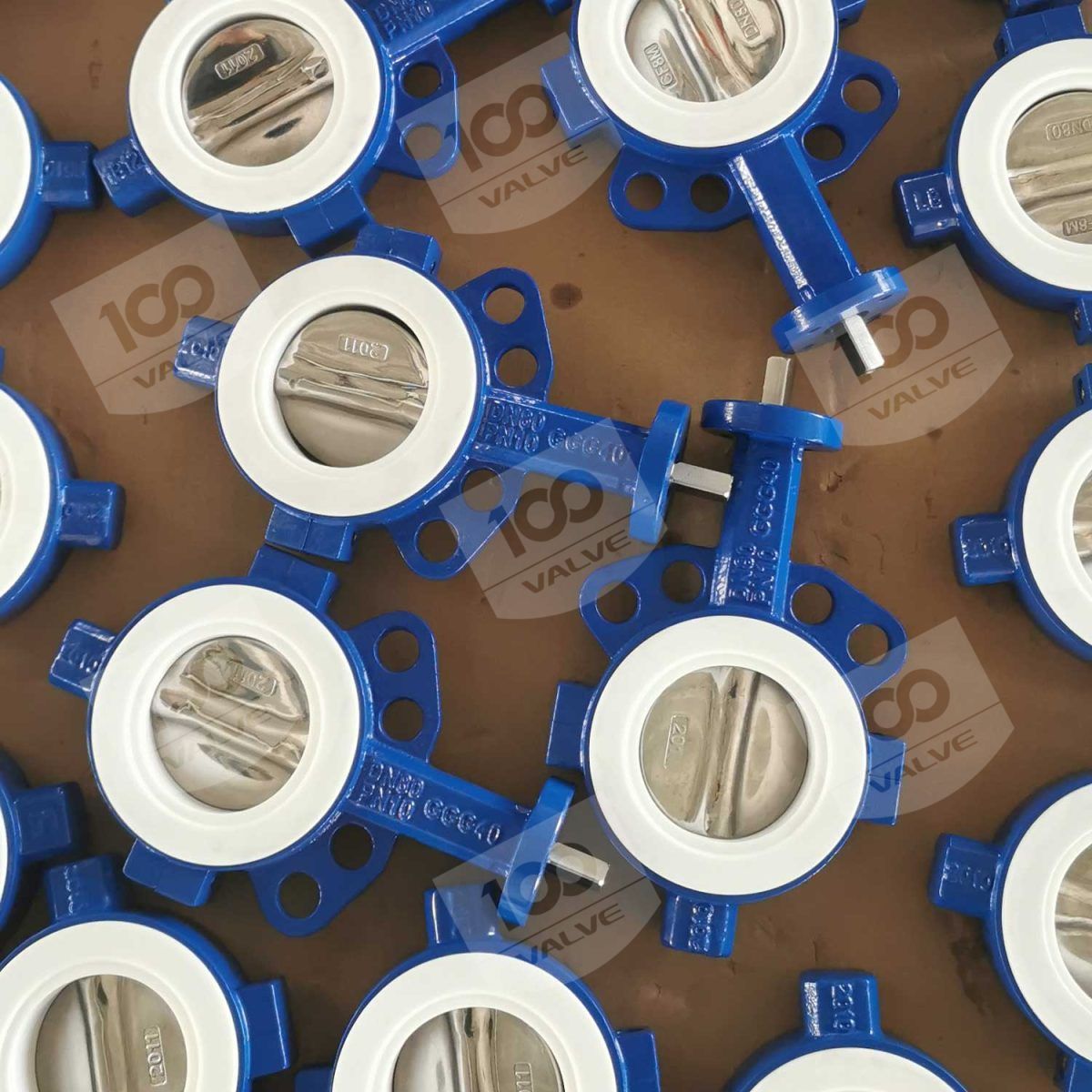 PTFE Flange Butterfly Valves – 100VALVE