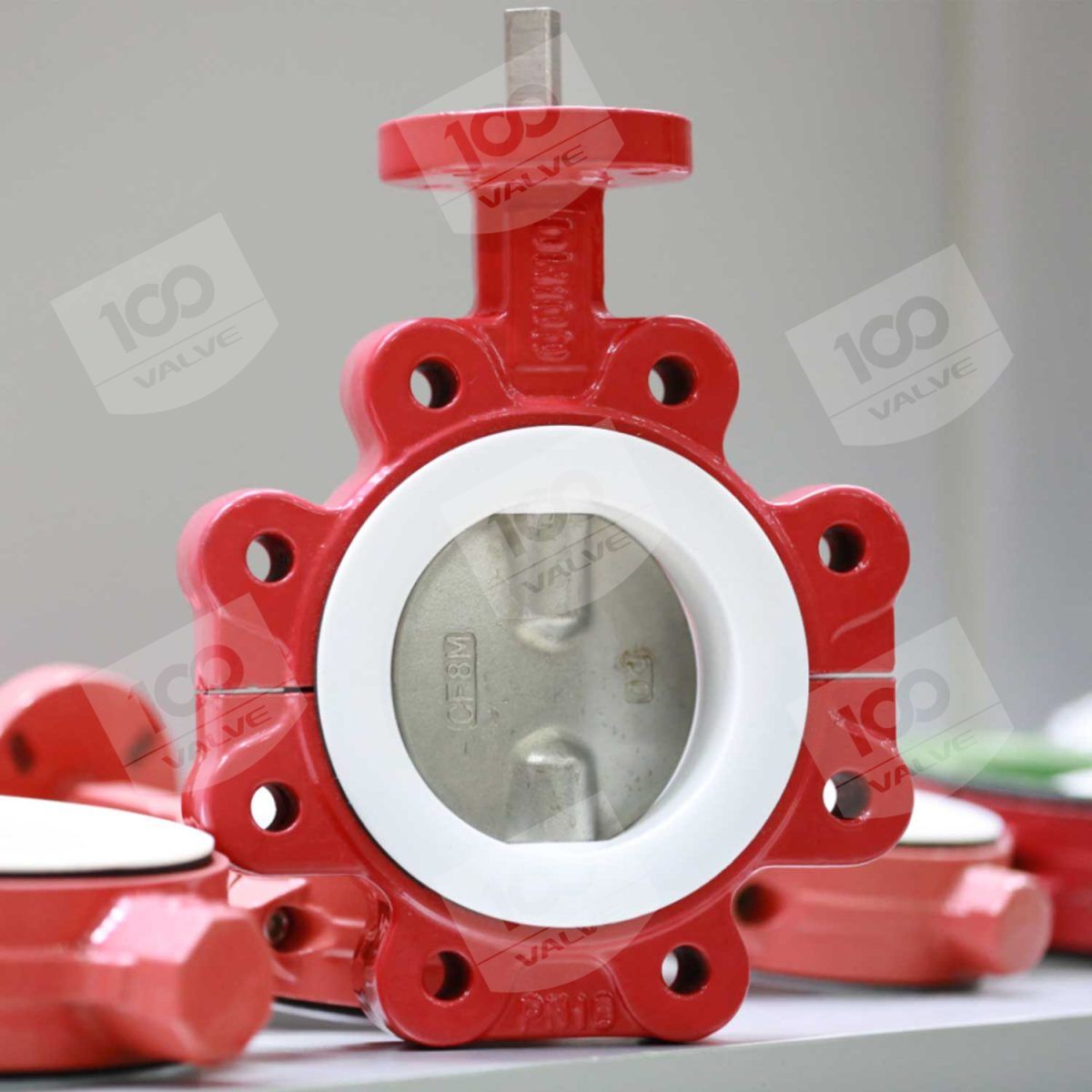 PTFE Lug Butterfly Valves – 100VALVE